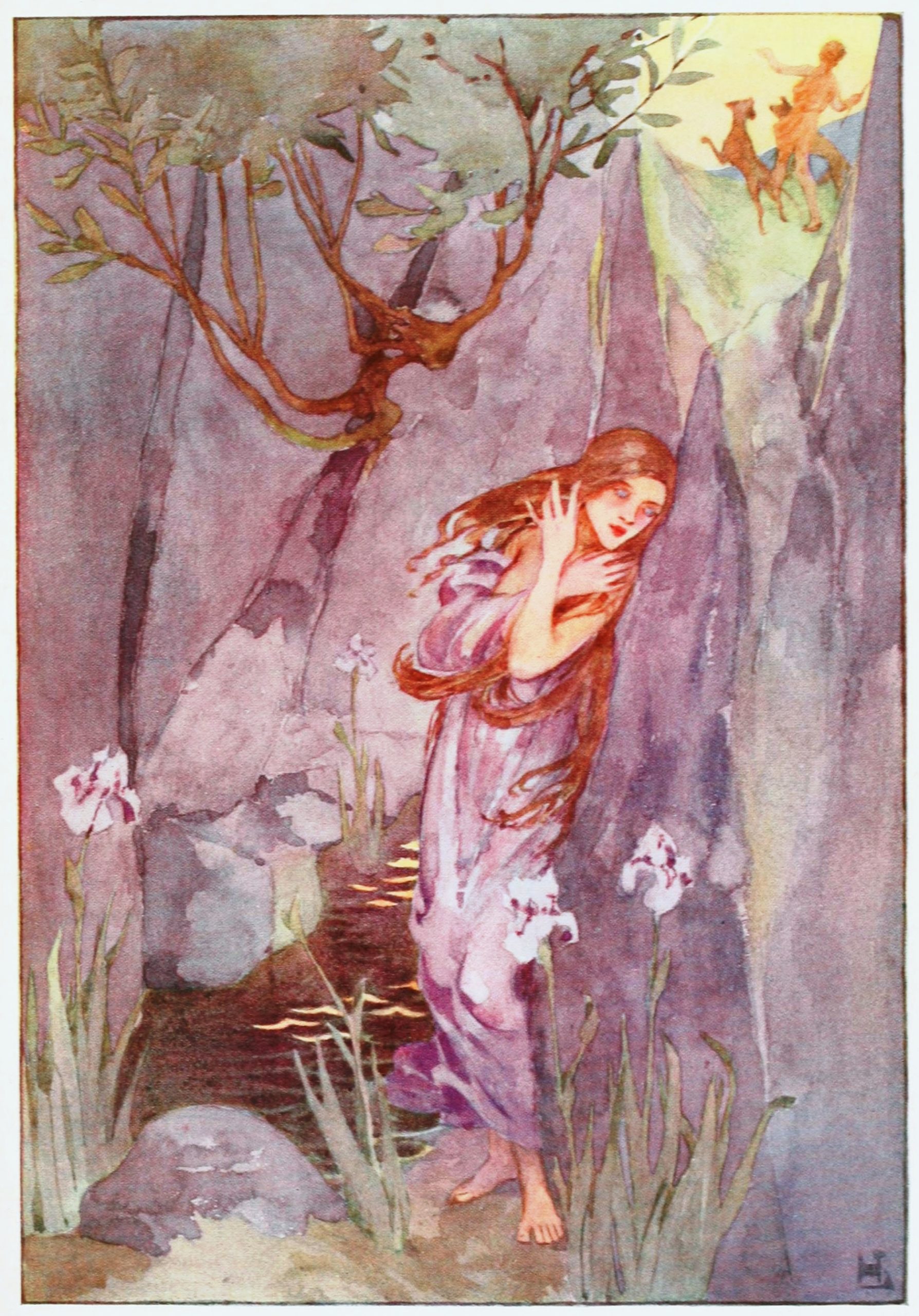 Echo And Narcissus By Ovid Excellence In Literature By Janice Campbell