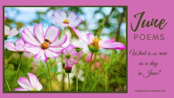 June Poems - Excellence in Literature by Janice Campbell